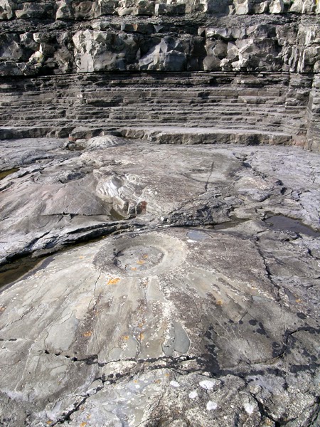The Language of Stone: The Geological Survey of Ireland