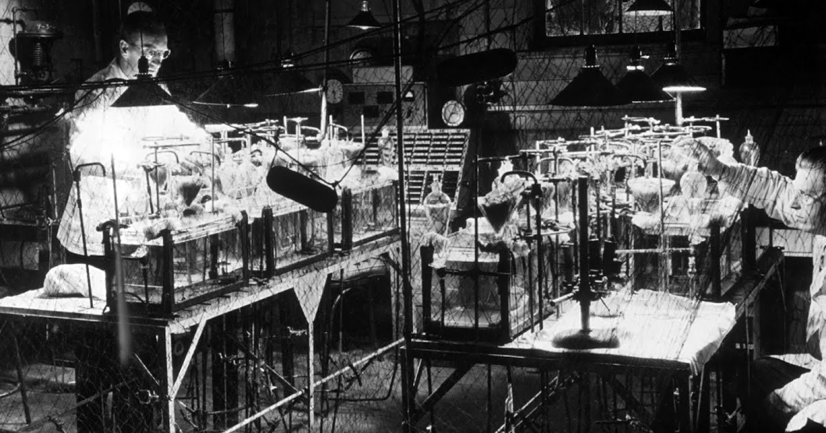 Hasler History: AD Hasler Biographies