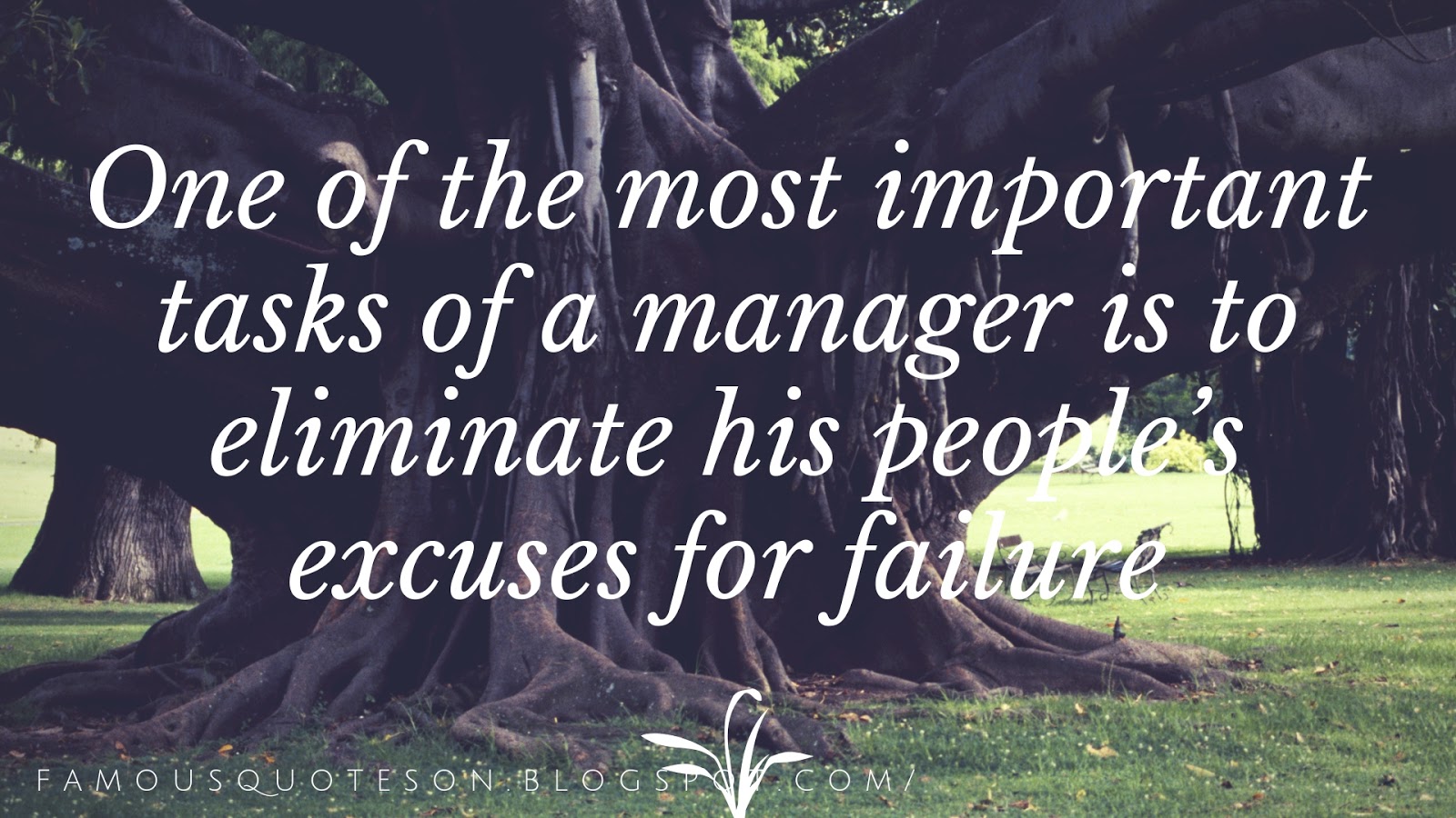 50+ Motivational Quotes to Encourage and Motivate