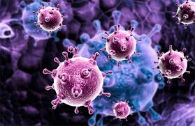 Cours L3: La biologie de la cellule immunitaire