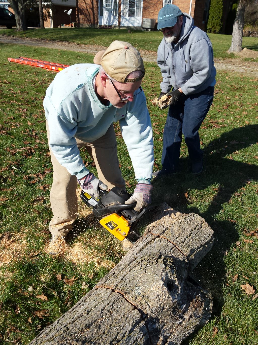 Pinehaven - Farmersville, Ohio: Timber!