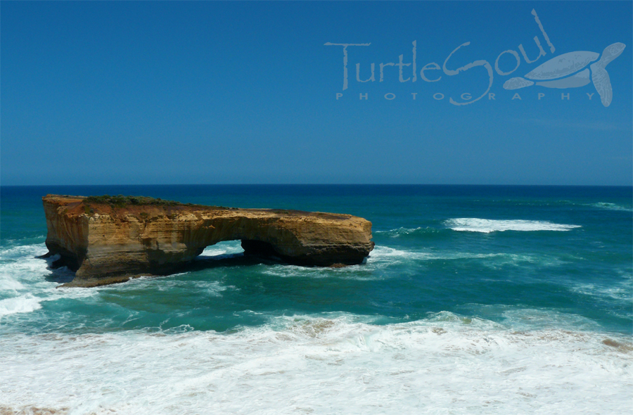 Turtle Soul Studios: May 2011