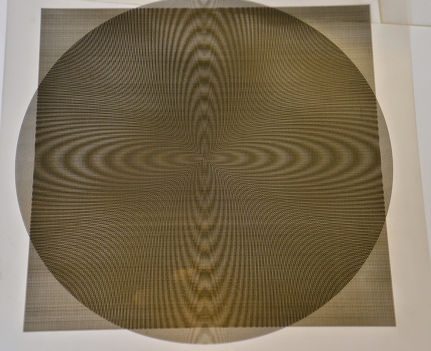 A school of fish: Interference effects and light