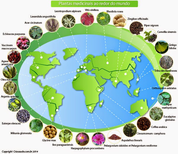 PLANTAS MEDICINAIS AO REDOR DO MUNDO ~ Plantas Medicinais