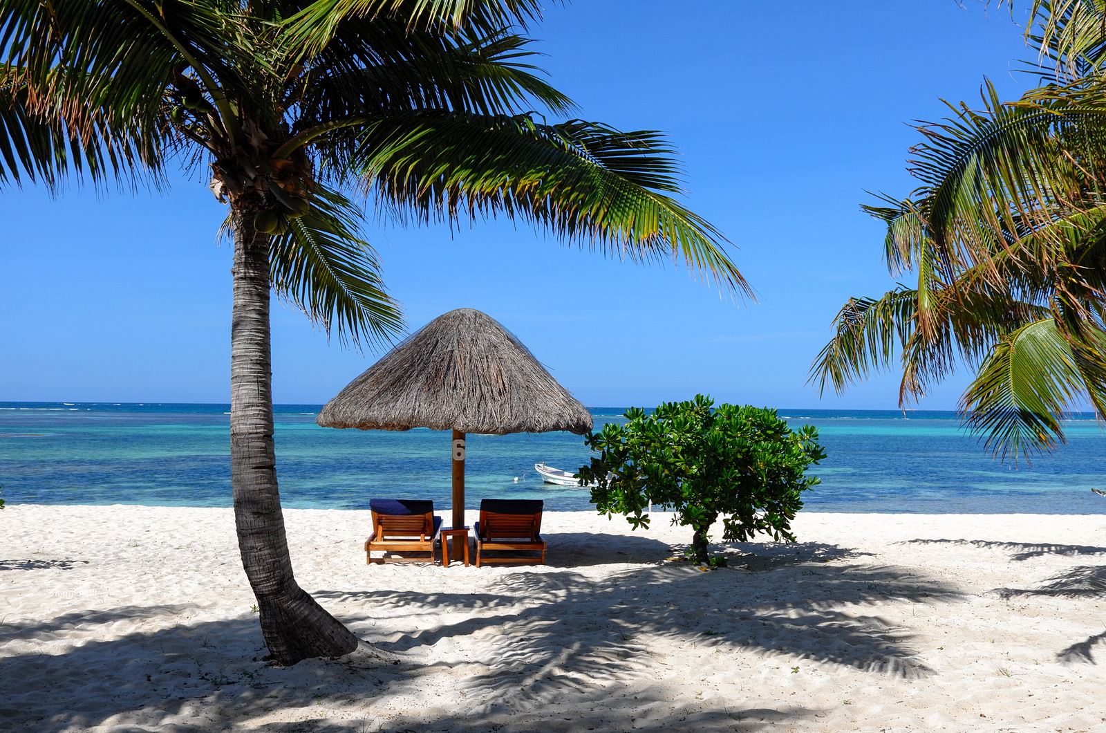 Eat Drink KL | Dinner: Viwa Island Resort @ Fiji