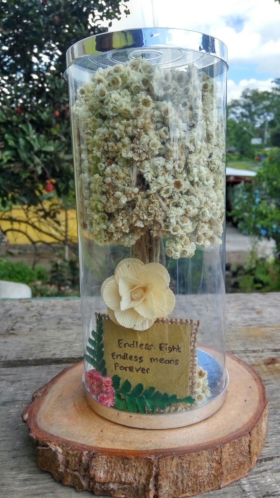 Kado Unik Bunga Edelweis Tabung Bunga Abadi - Bunga Edelweis Gift ...