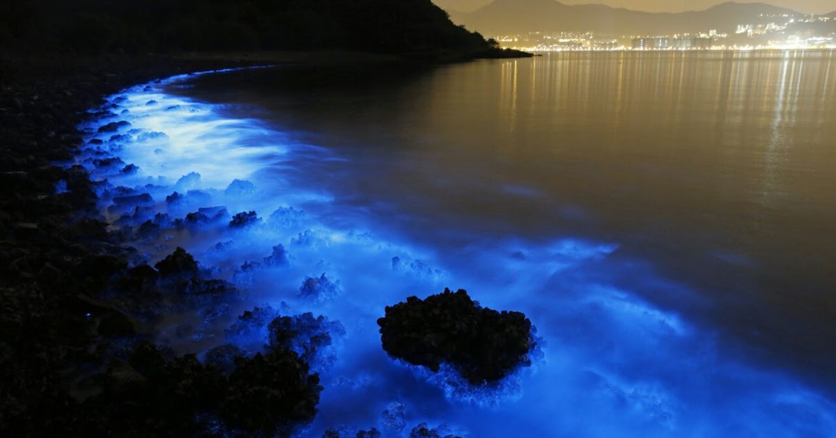 shamil's purple moon: bioluminescence