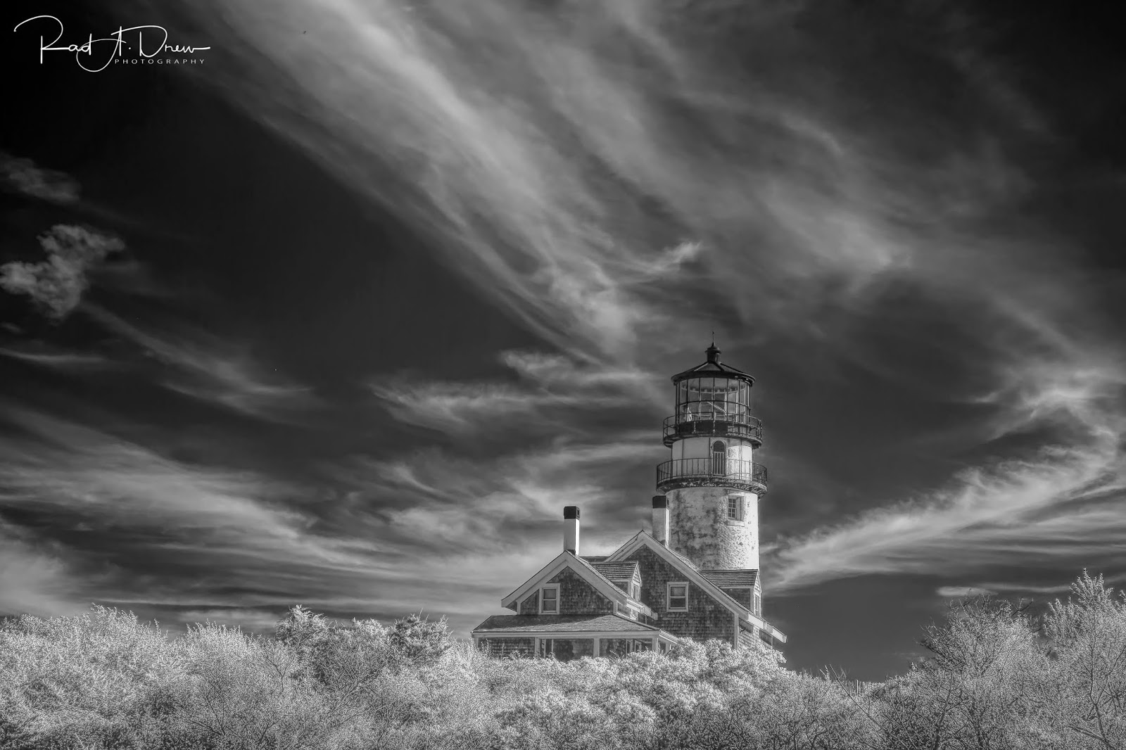 Rad A. Drew Photography: Cape Cod Magic April 2024!