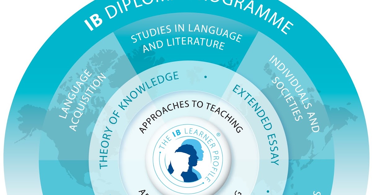 What is CAS?: Relevance in the IB diploma