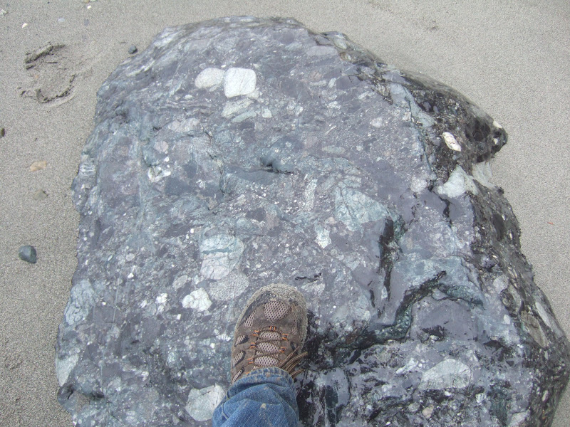 Reading the Washington Landscape: Erratic Conglomerate