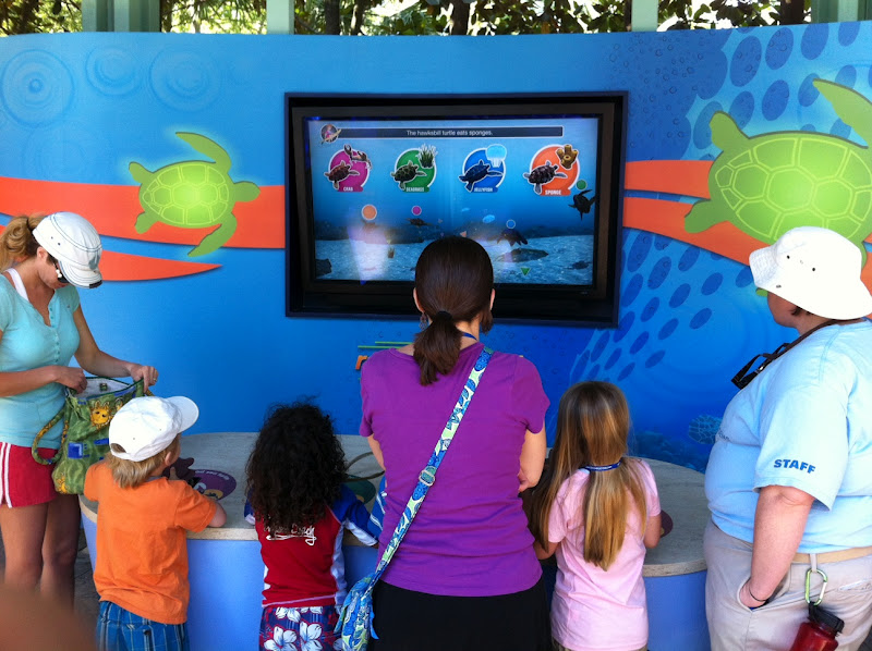 Orlando Theme Parks Blog: Turtle Trek at SeaWorld Orlando Now Open!