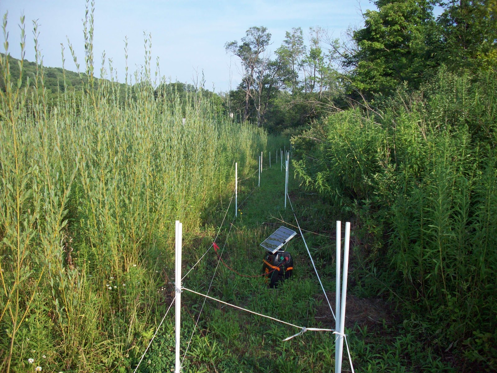 Colgate's Willow Field