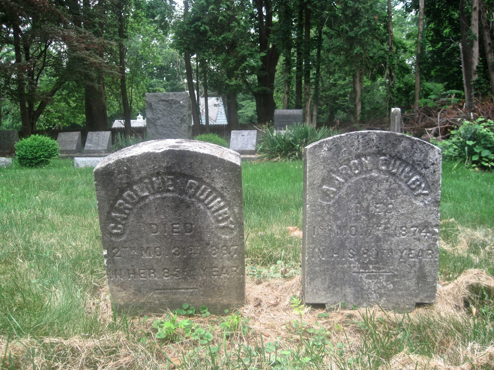 The Episcopal Cemetery Project: A Quaker Cemetery