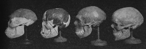Hombre de Piltdown: el desopilante gran fraude arqueológico que unió al ...