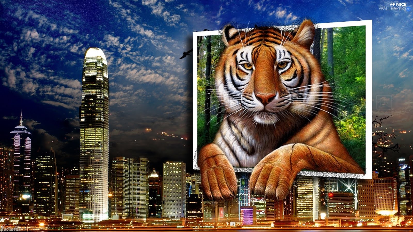 Tiger Town Wallpaper ~ Walt Disney Wallpaper