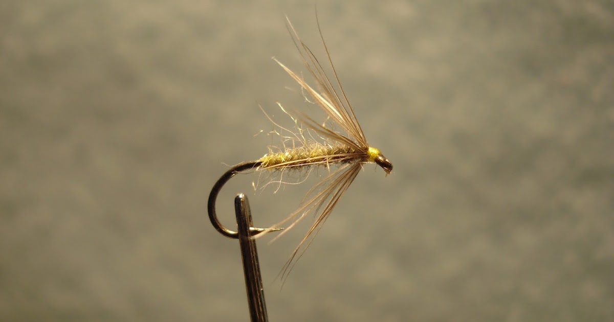 SOFT HACKLES, TIGHT LINES: Blue Dun