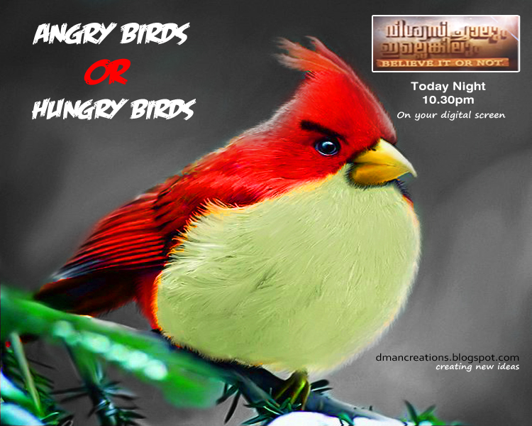 Think Different: Angry birds or hungry birds