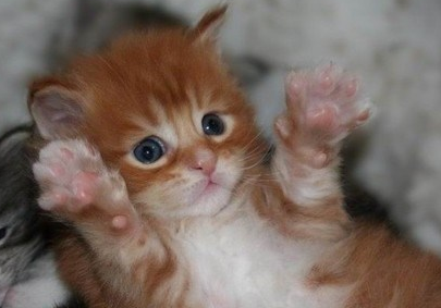 365 Days of Jazz Hands: 365 Days of Jazz Hands - Day 161