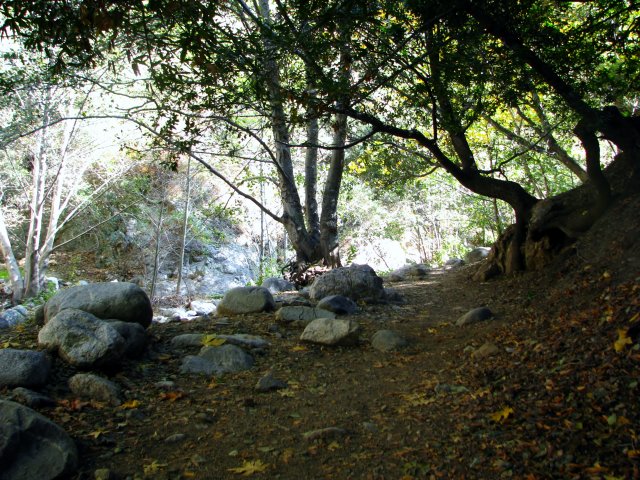 Take A Hike!: Hike In Eaton Canyon - Altadena, CA