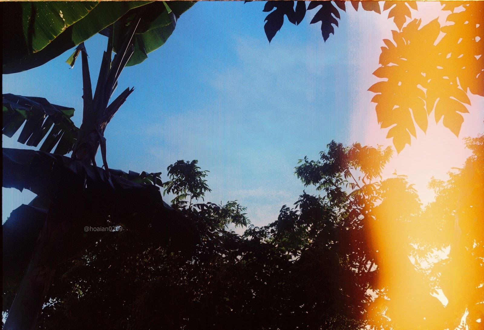 BEAUTIFUL THINGS - Wild and Young