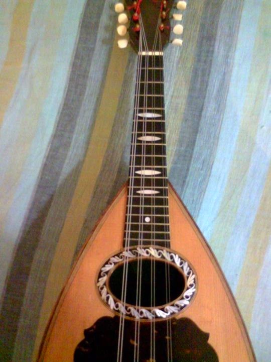 Valérie Patte, harpiste: Vends mandoline napolitaine