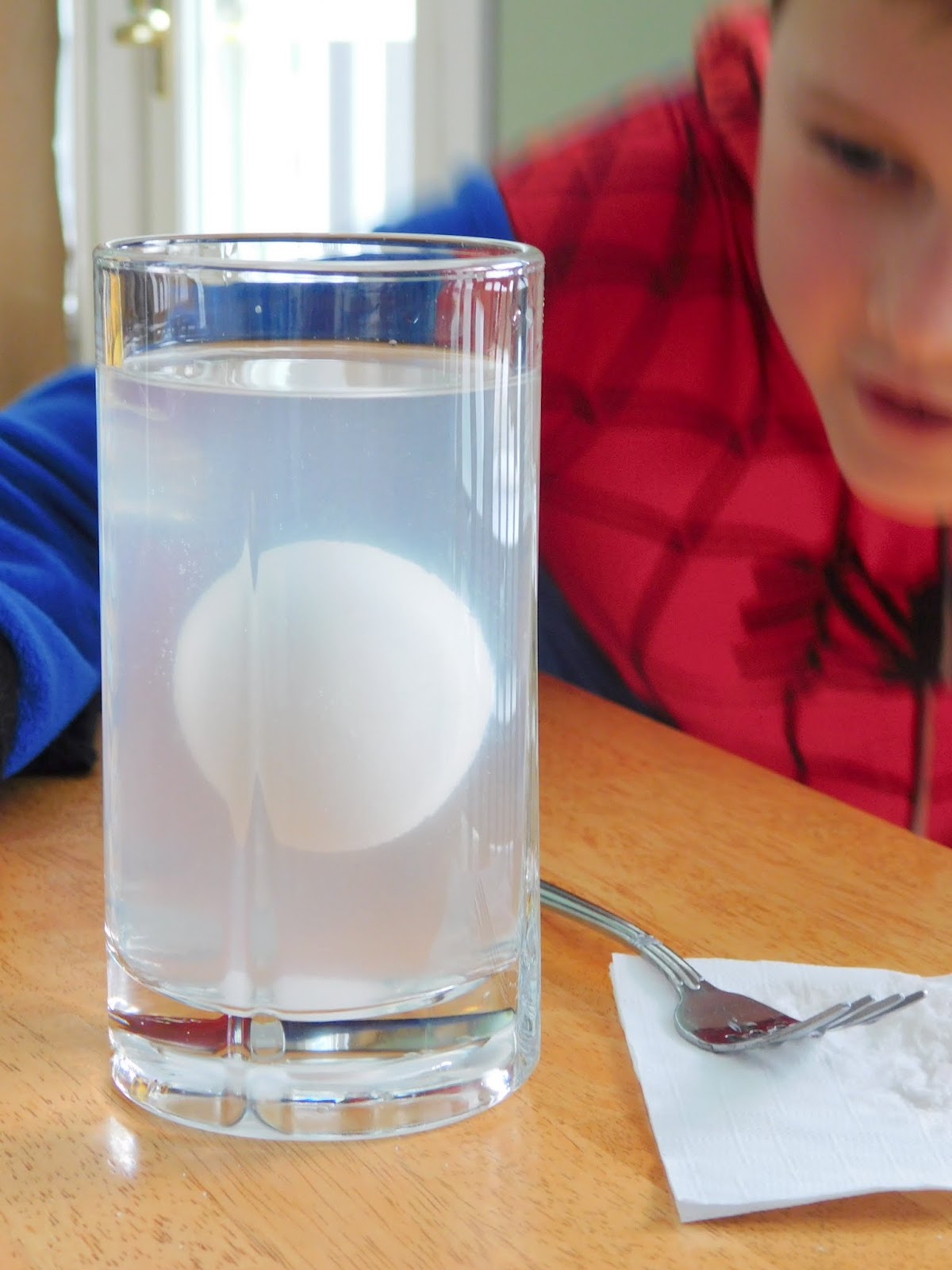 100 Days of Science #18-- Floating Eggs