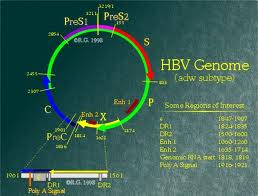 The Arts, Sciences and Medicine: The Rise of the BORG (Bacterial and ...