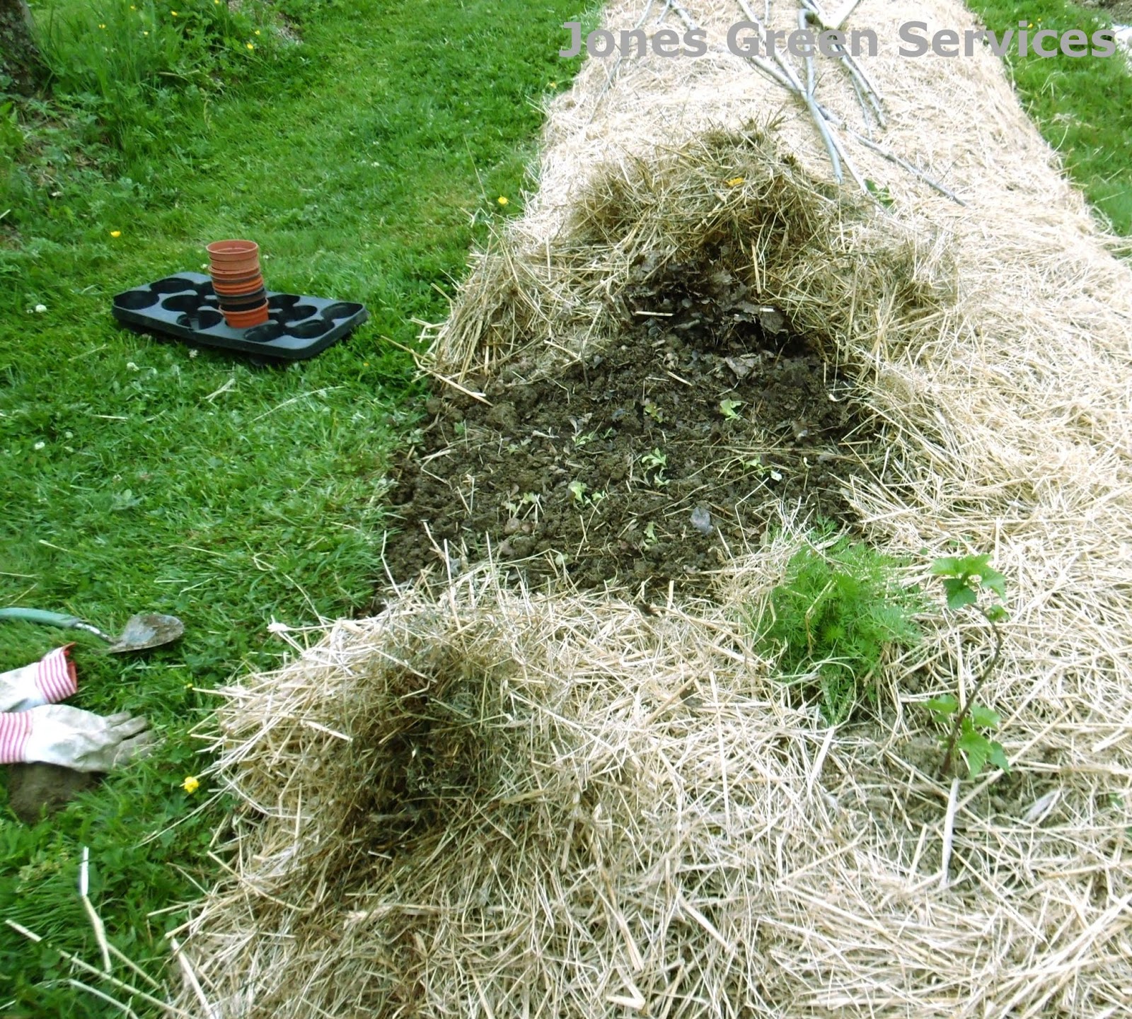 Le Sarramea - Gardening in the Pyrenees: No Dig, Straw Mulch & Roe Deer