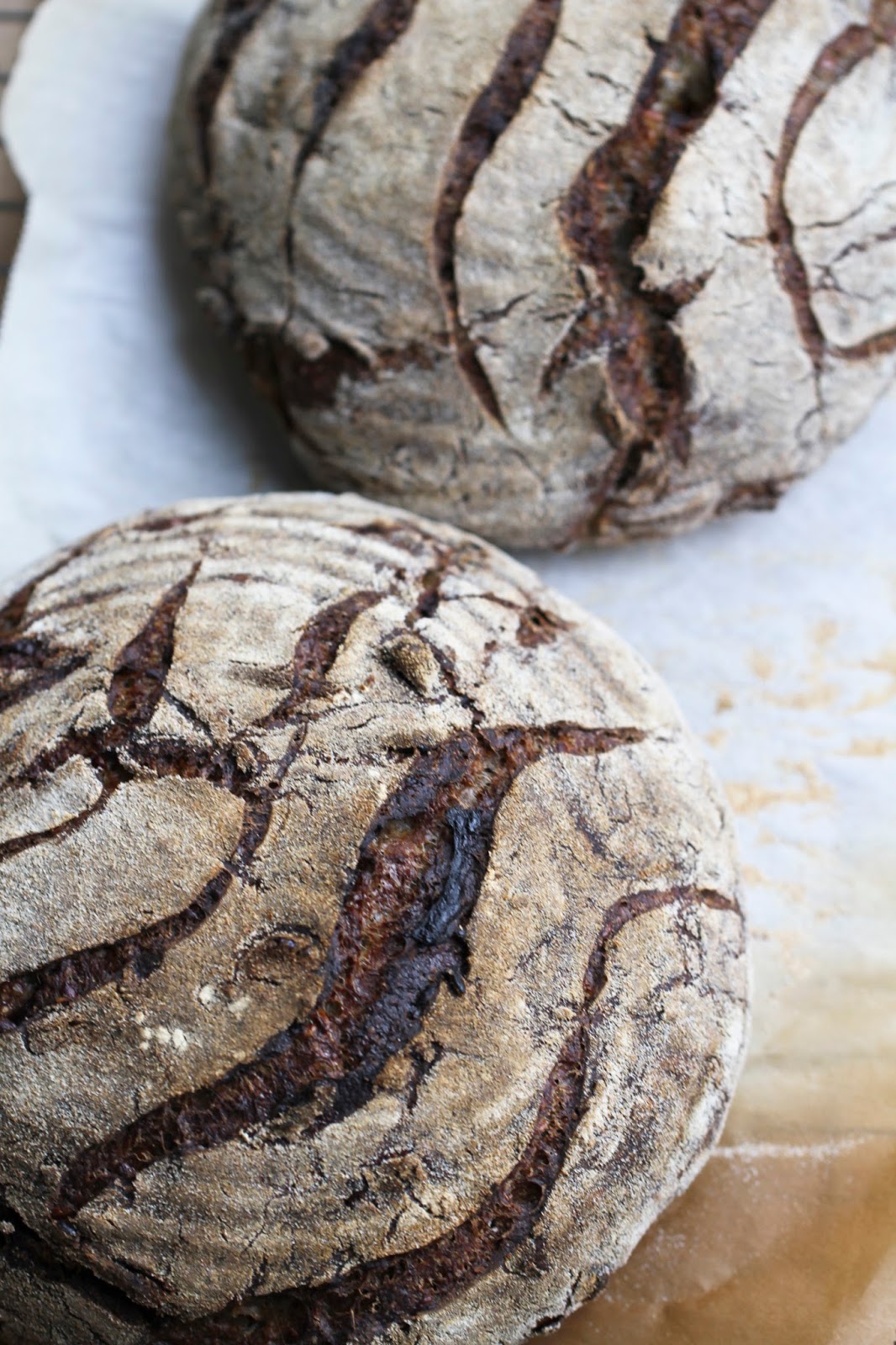 Caramelized Onion Levain Bread - BBB - Ever Open Sauce