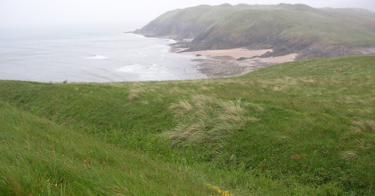 A lifetime of Islands: Island 166 - Burry Holms, Gower, Wales