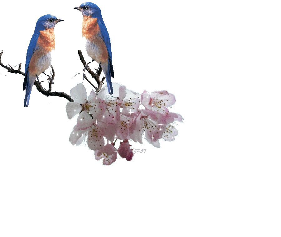 Wiosna: Animowane gify i obrazki - ptaki wiosną