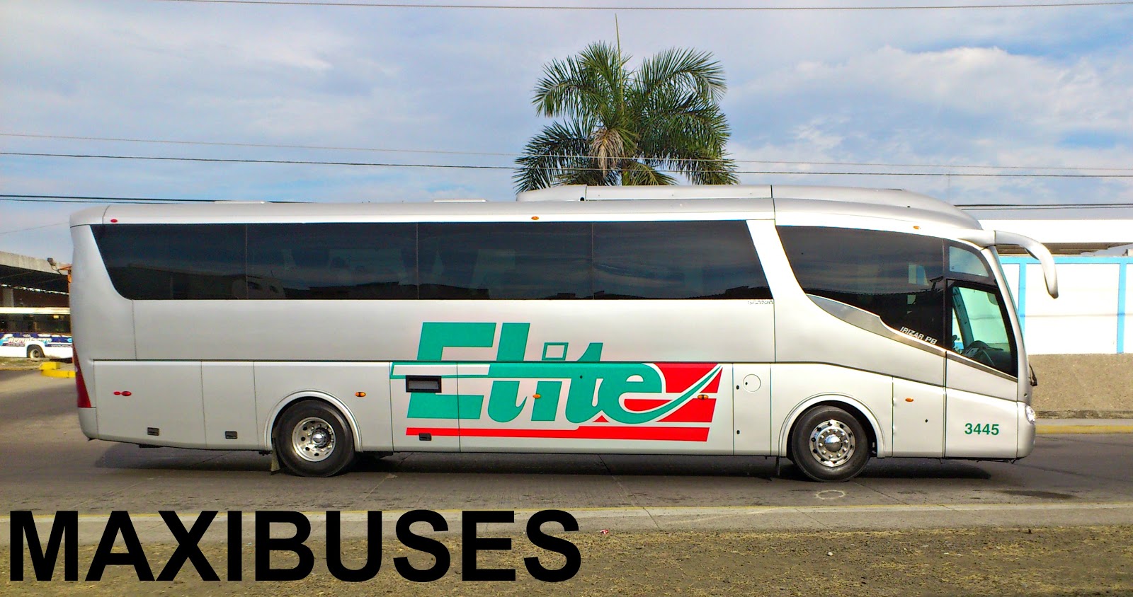 MAXIBUSES: ELITE