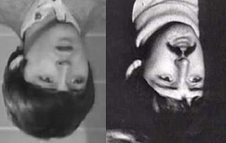 Plastic Macca ~ Paul is Dead: Paul McCartney is dead: proof he was replaced