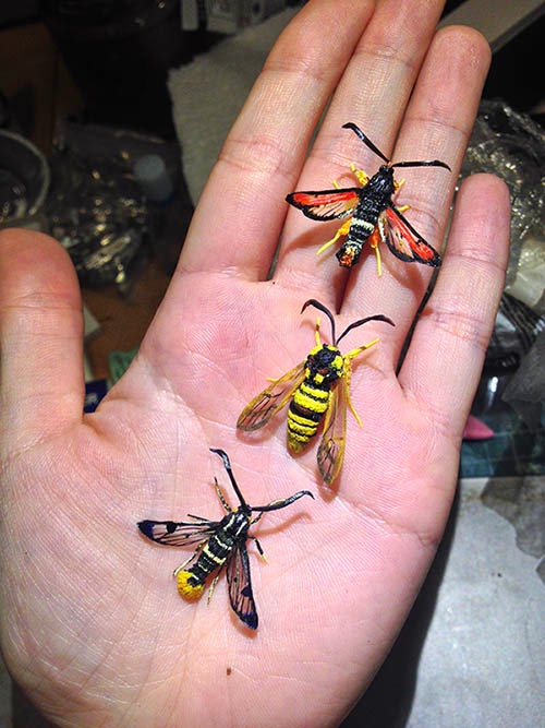 Hachiware Art: Moths Count 2015