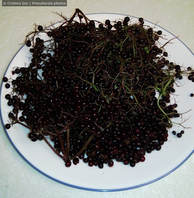 PRO NATURALE - Sanatate pe cale naturala: Sirop din fructe de soc ...