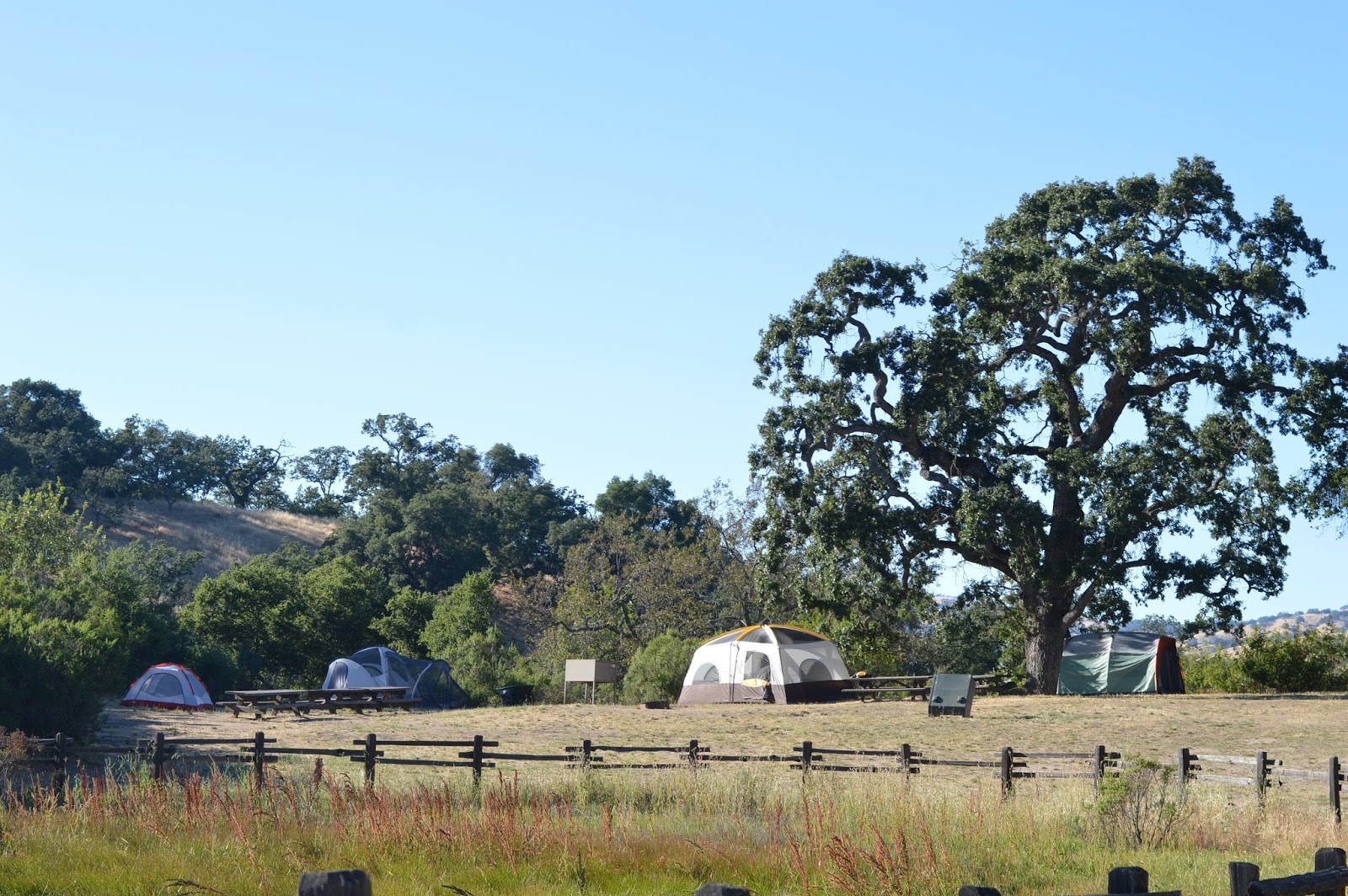 Musings on the Simple Life: Camp Out