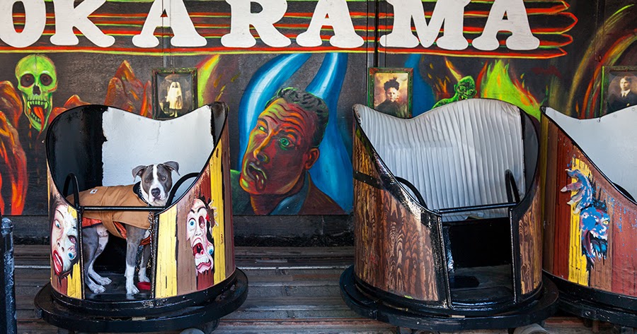 James and Karla Murray Photography: Hudson. Pre-season Spook-a-Rama ...