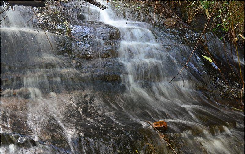 Tamilnadu Tourism: Pambar Falls (Liril or Vatakanal), Kodaikanal