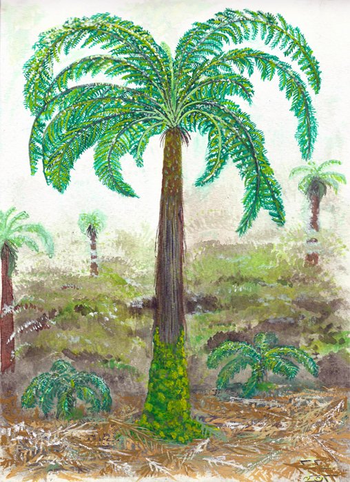 Coherent Lighthouse: Watercolor study of Psaronius