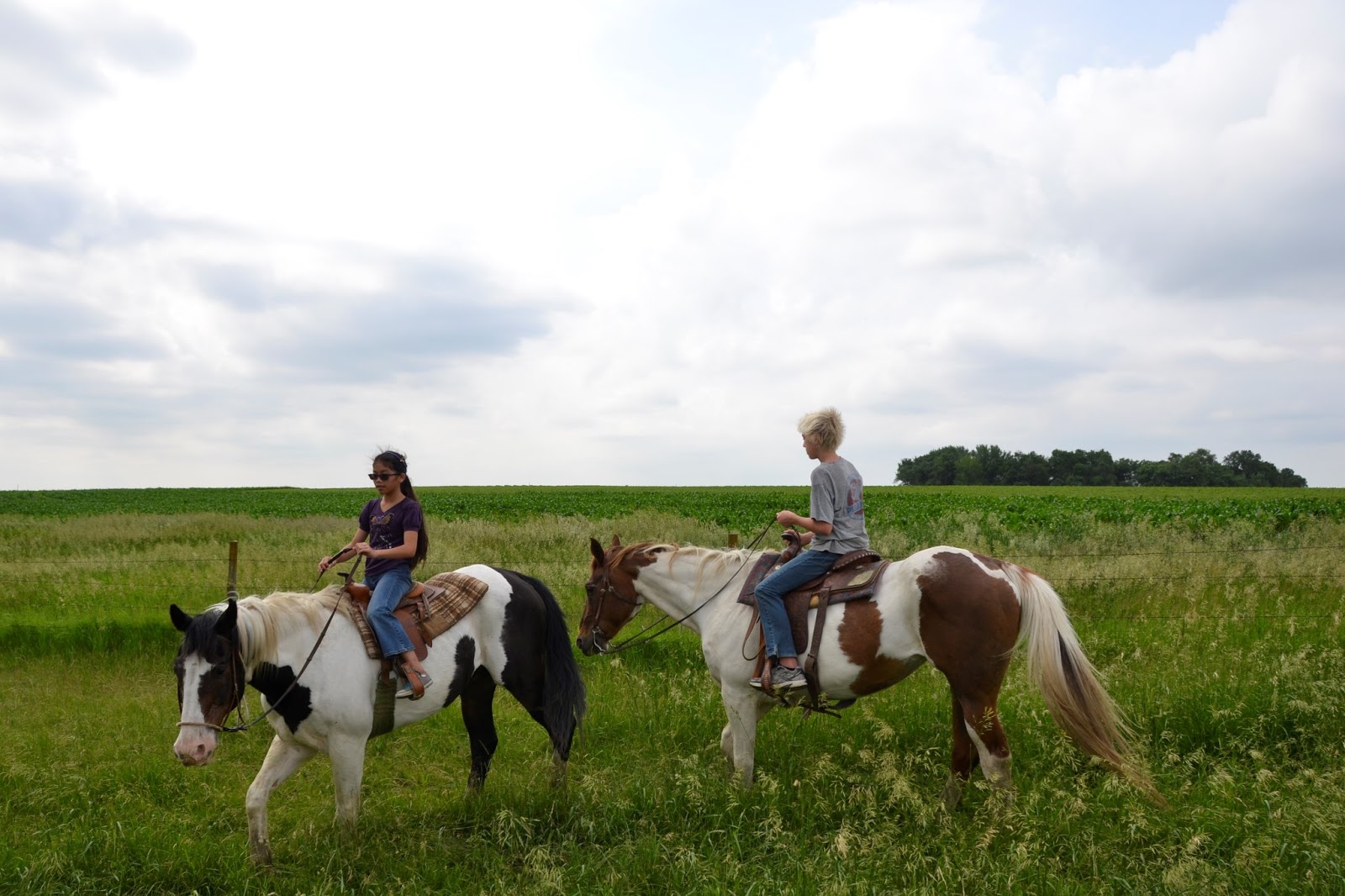 Gardening With Chickens and Other Trials of Farm Life: It's Summertime ...