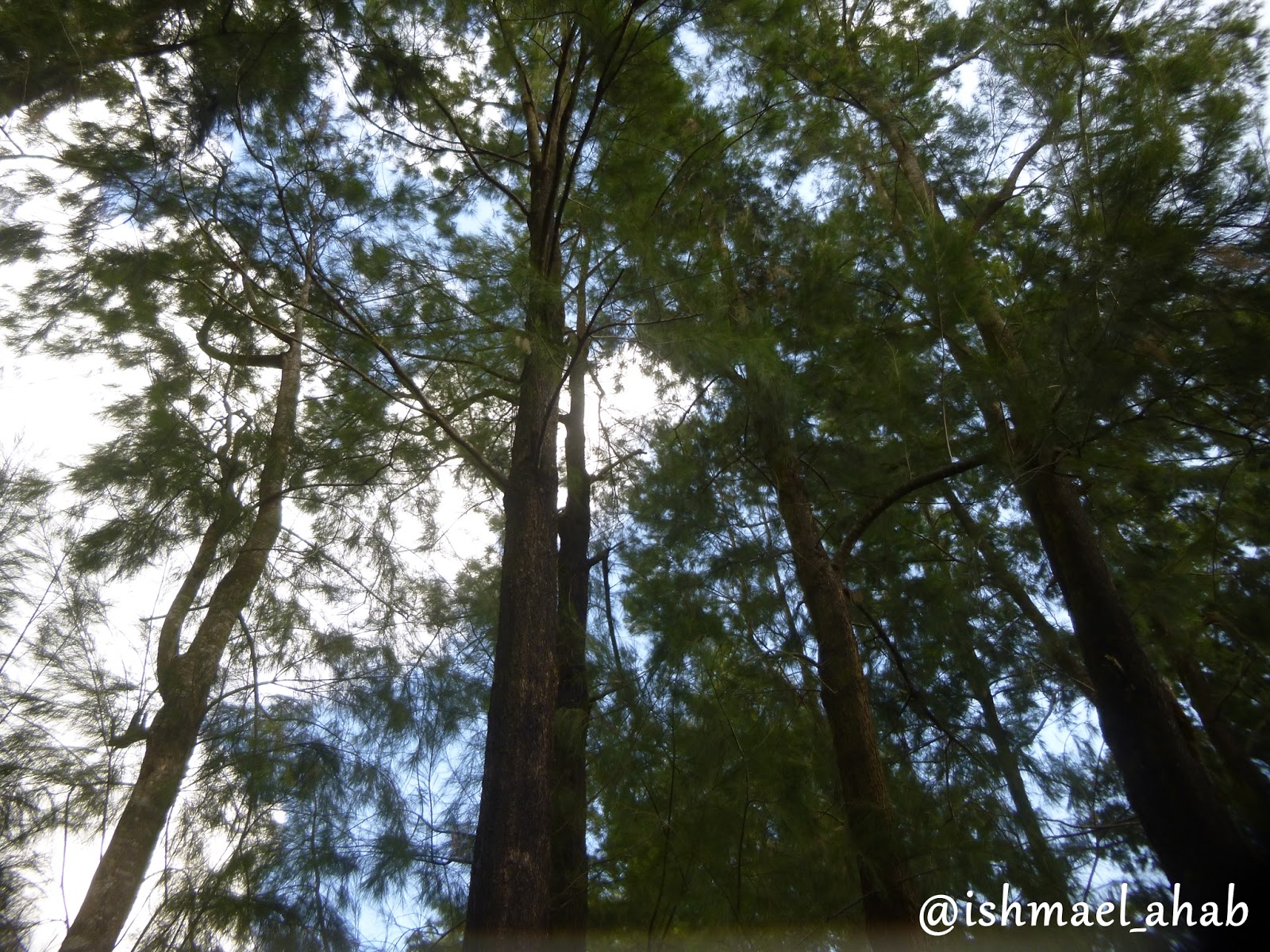 Let's Go to Baguio (Part 6): Underwhelming Experience in Mines View ...