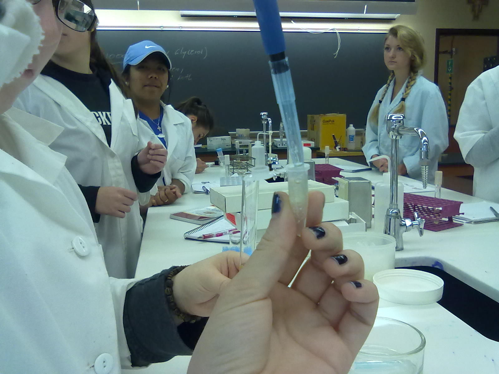 Samantha and Sarah's Microbiology Lab Journal: Timeless Storing of ...