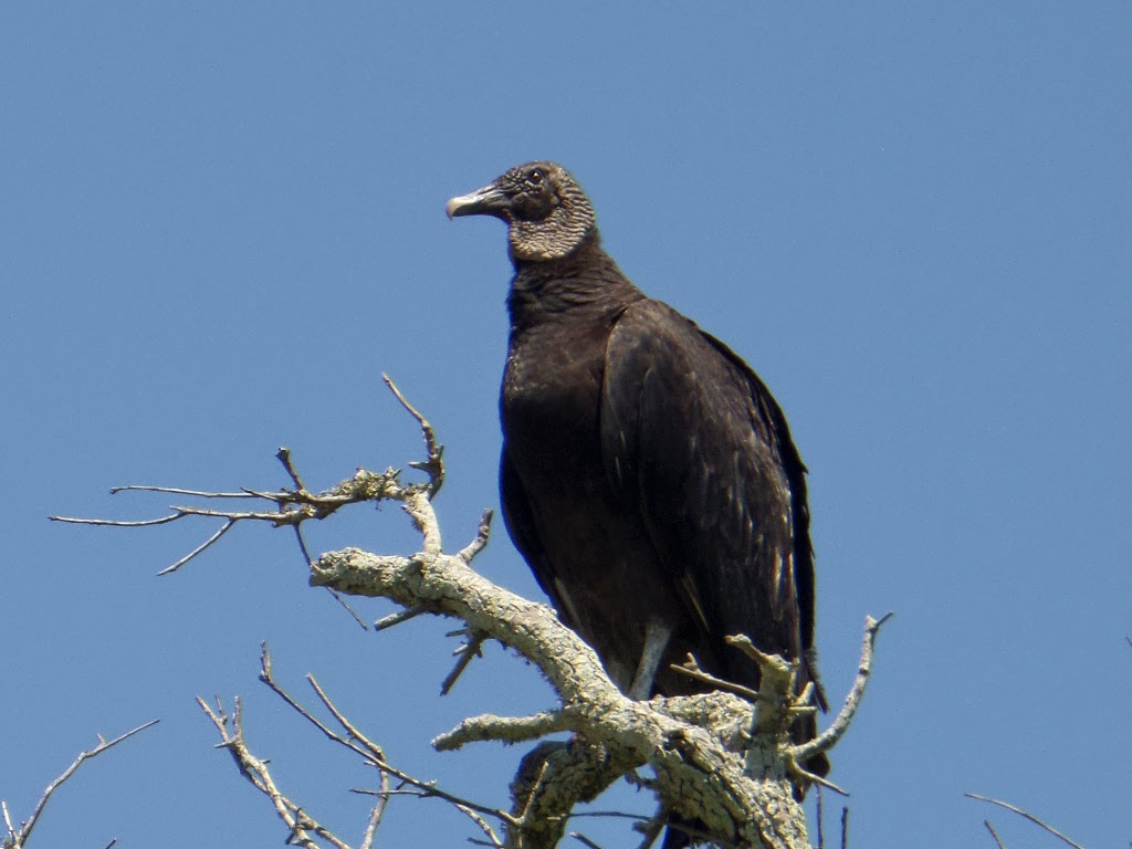 Cummings...and goings...: Bay View RV Resort, Rockport, Texas - April ...
