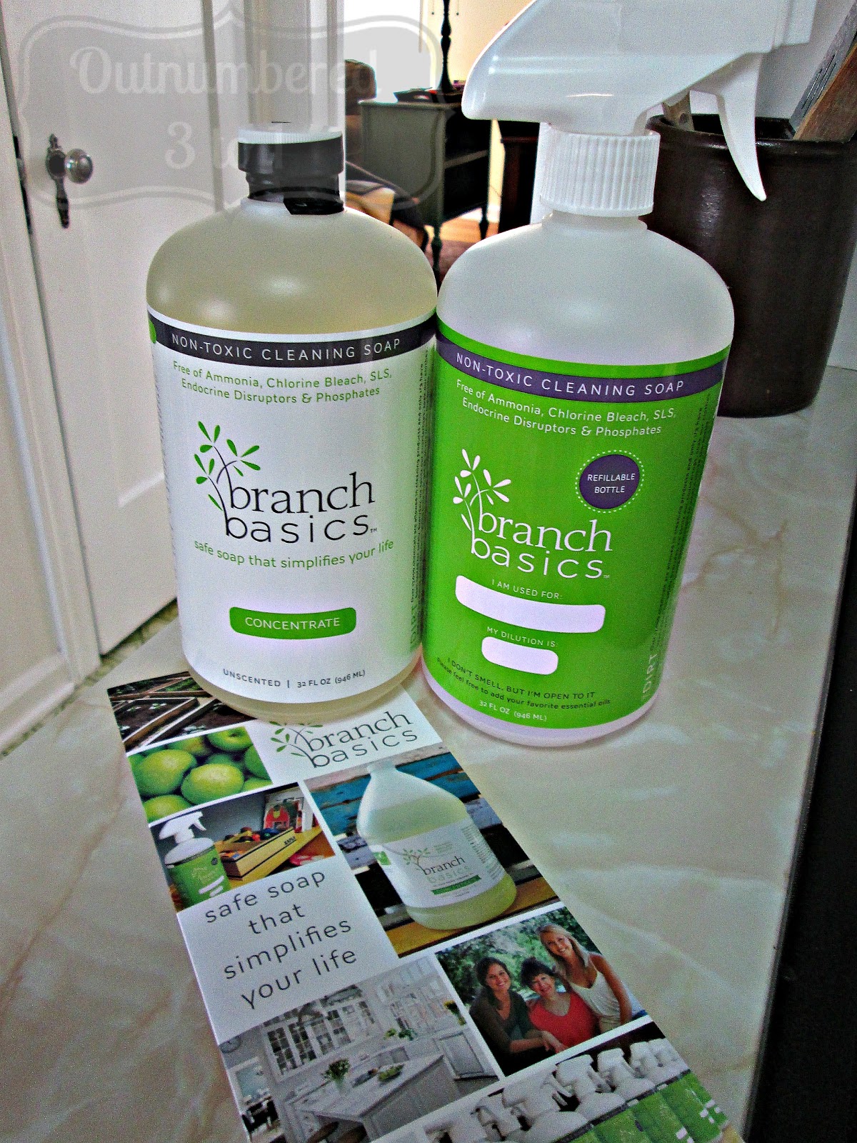 Branch Basics Non-Toxic Cleaner {Review} - Outnumbered 3 to 1