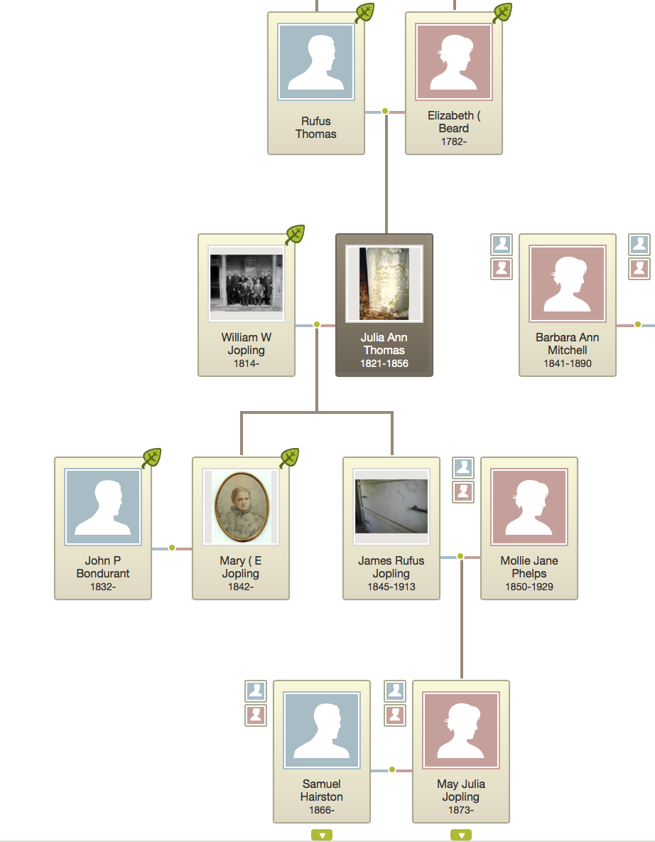 Tangled Roots and Trees: 52 Ancestors #33: An Early Feminist of the ...