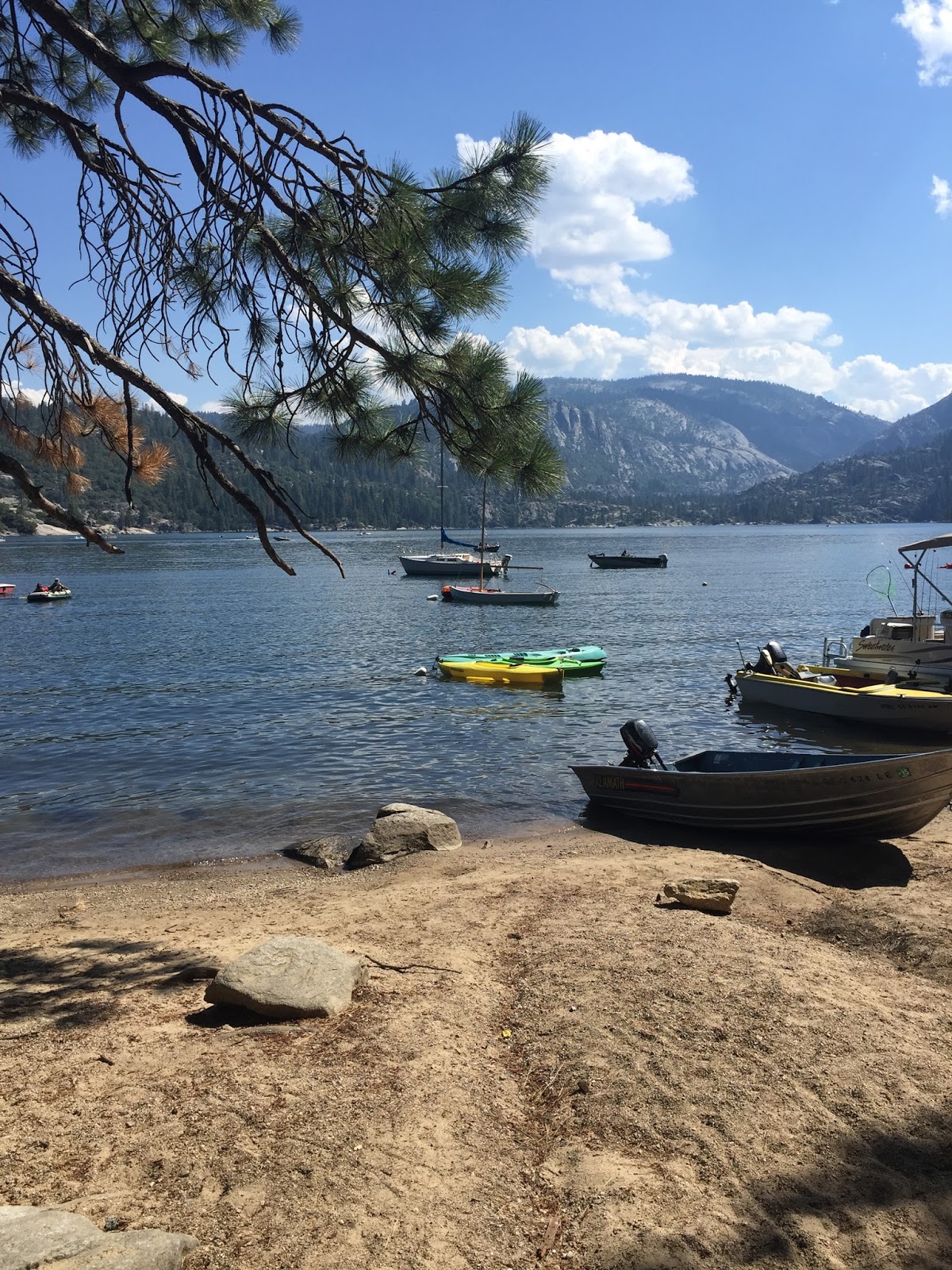 Gone Camping or Glamping...Pinecrest Lake Resort - Northern California ...