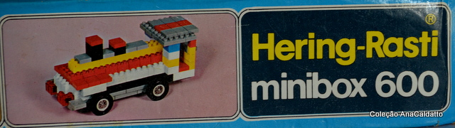 Ana Caldatto : Blocos Hering-Rasti