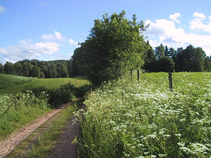 Almåsgymnasiet BF11: Sweden