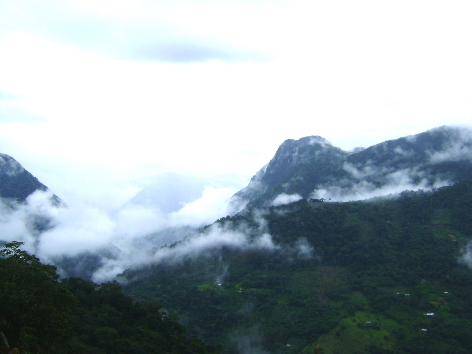 LA PROVINCIA DE HUALLAGA.: Razgos del relieve de la cuenca del río ...