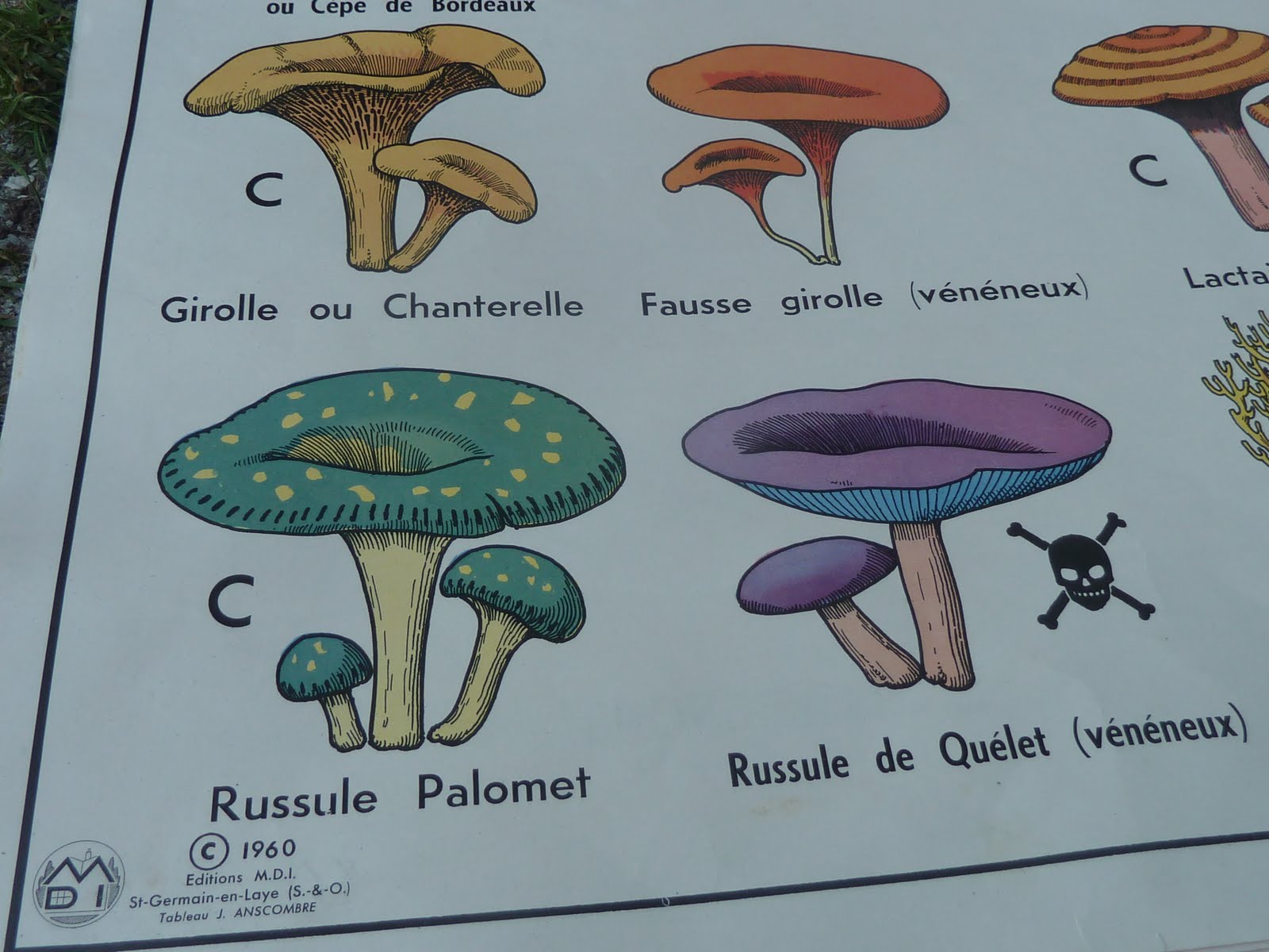 Ecole FMR 1000 Affiches scolaires: affiche mdi scolaire les champignons ...
